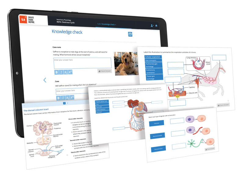 Lt Veterinary Physiology | Online Learning Software for Animal Science ...